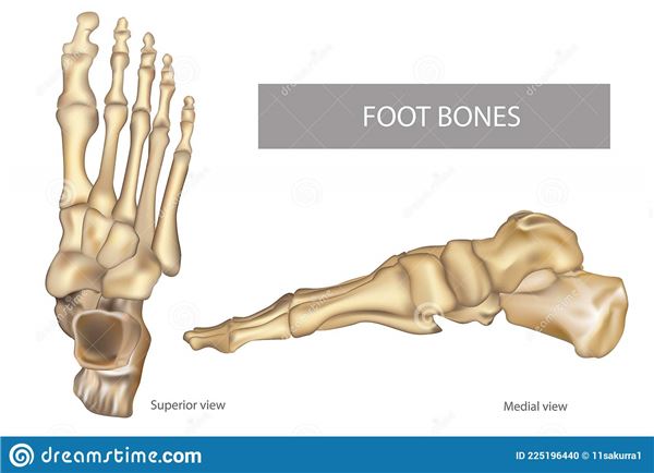 Unlabeled Foot