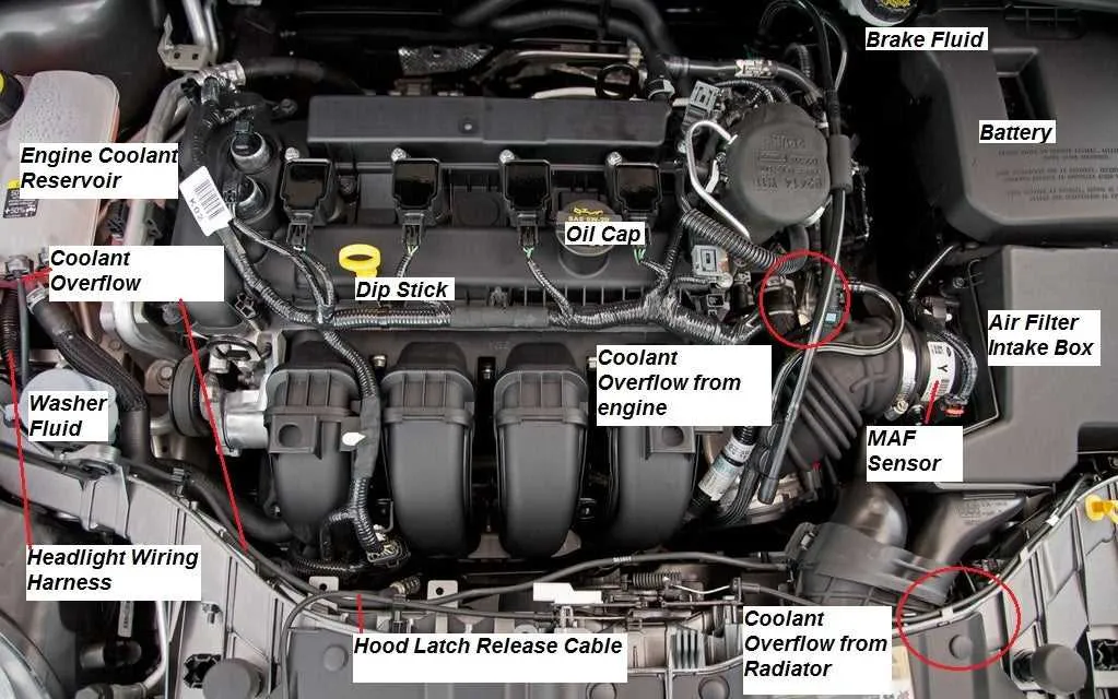 Ford Focus Engine Layout And Diagram Guide