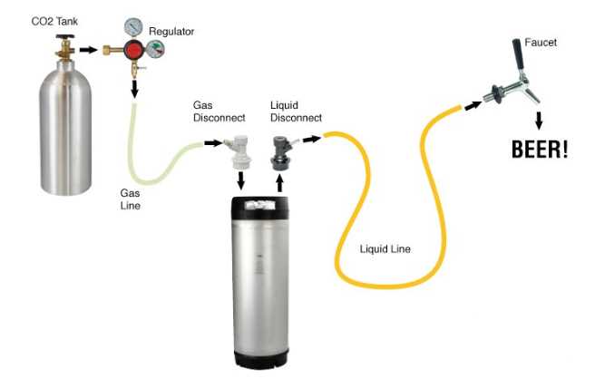 Anatomy of a Keg Coupler: Exploring the Inner Workings